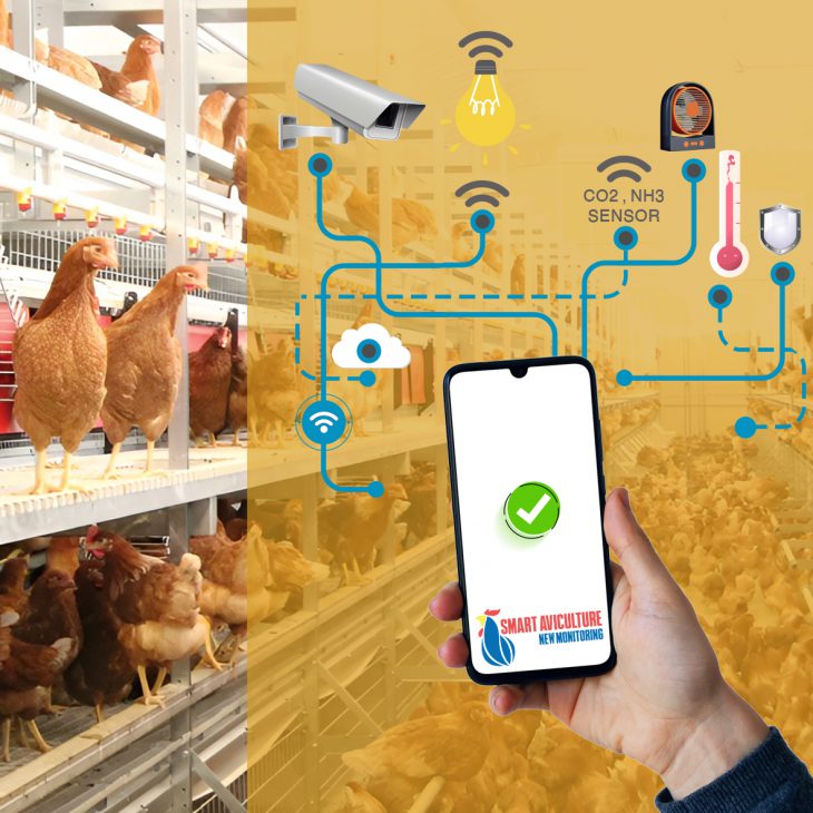 Smart Aviculture – is a new loT monitoring and control system provider ...