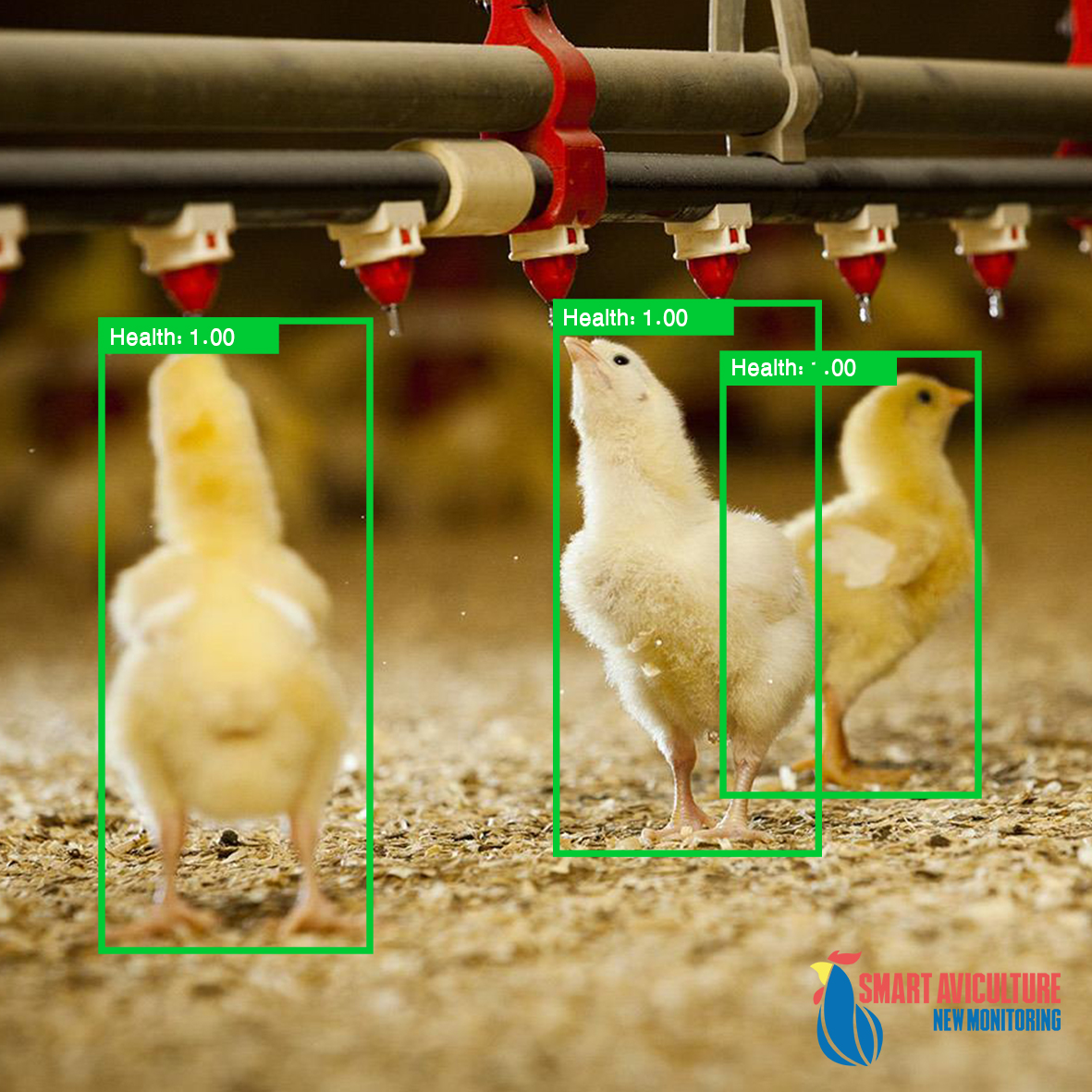 Smart Aviculture – is a new loT monitoring and control system provider ...